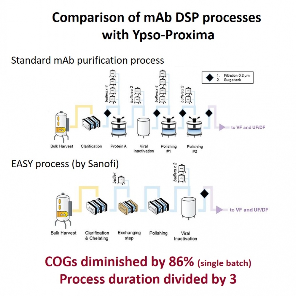 NEW ARTICLE - Comparison of mAb single-use DSP processes by Sanofi ...
